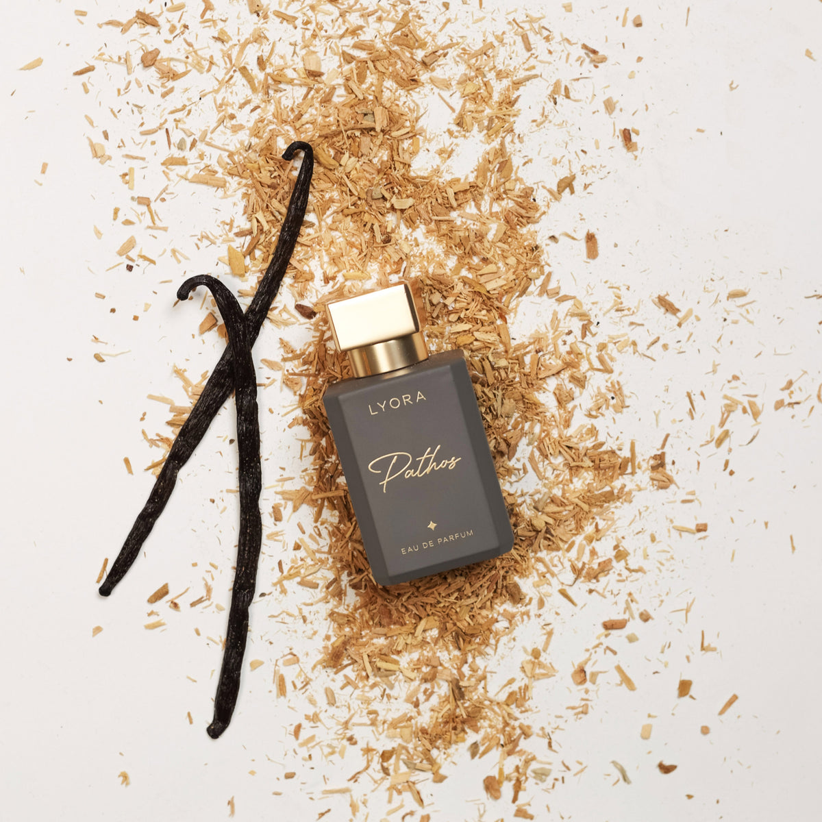 Herrenparfüm "Pathos" by Eli Nerlich – LYORA